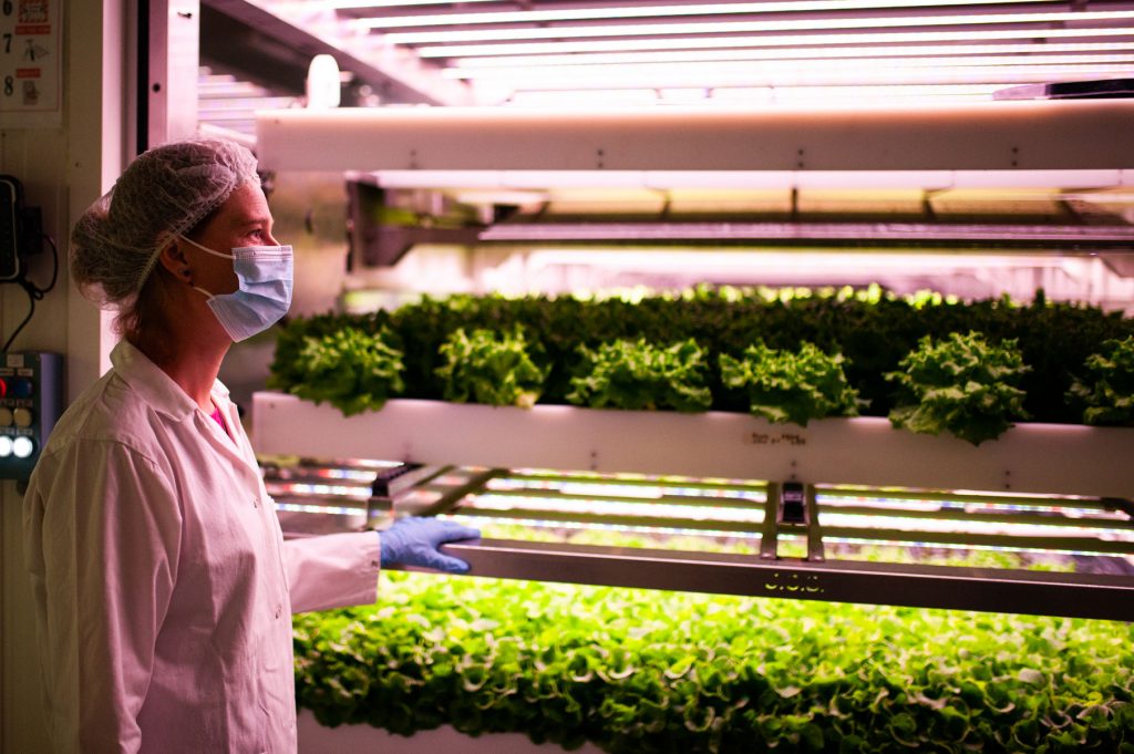 The ModuleX - Sensible Plant Factory | Urban Crop Solutions