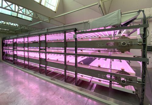 Growth Solutions | Urban Crop Solutions